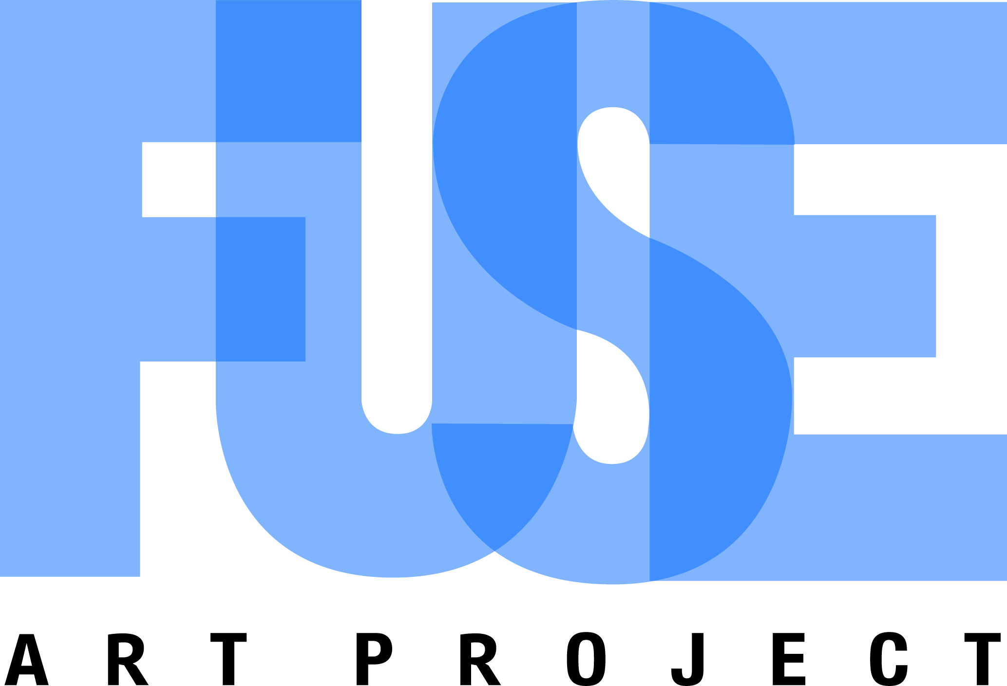 FUSE ART PROJECT
