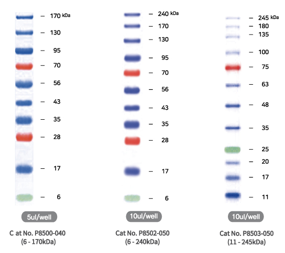 Best Item - Protein Marker & marker sticker : 제품정보