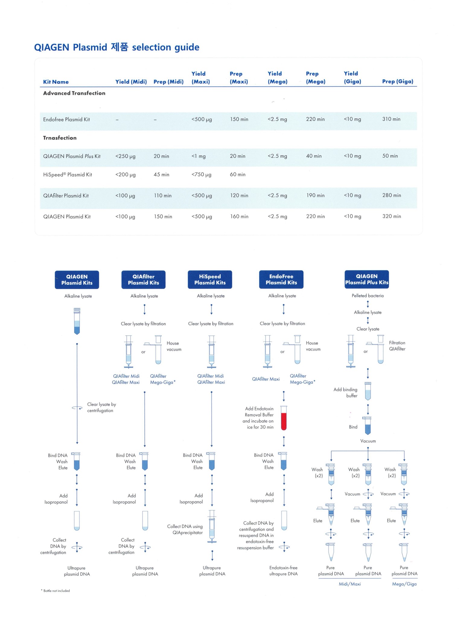 [QIAGEN] Plasmid Month 30% 할인 행사 [25.04.01~25.04.30] : 행사정보