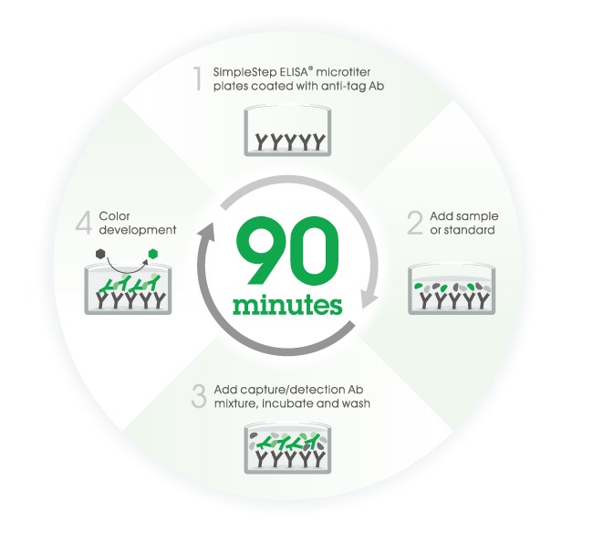 [abcam] ELISA kit 최대 20% 할인![2019.08.05~2019.09.27] : 제품정보