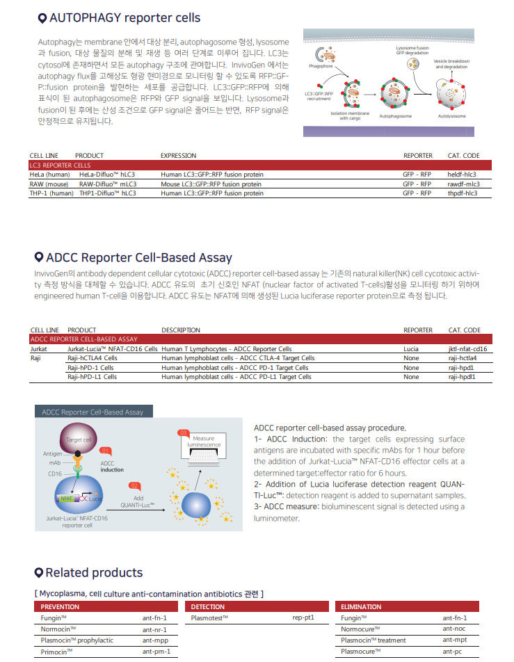 [InvivoGen] InvivoGen Cell Line 15% 할인 행사[2019.09.01~2019.10.31] : 제품정보