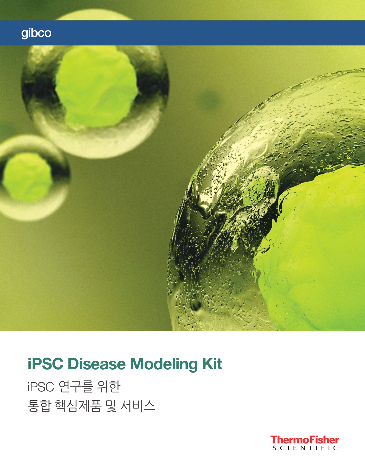 [Thermo] iPSC Disease modeling Kit 프로모션 [19.04.15~19.12.30] : 제품정보