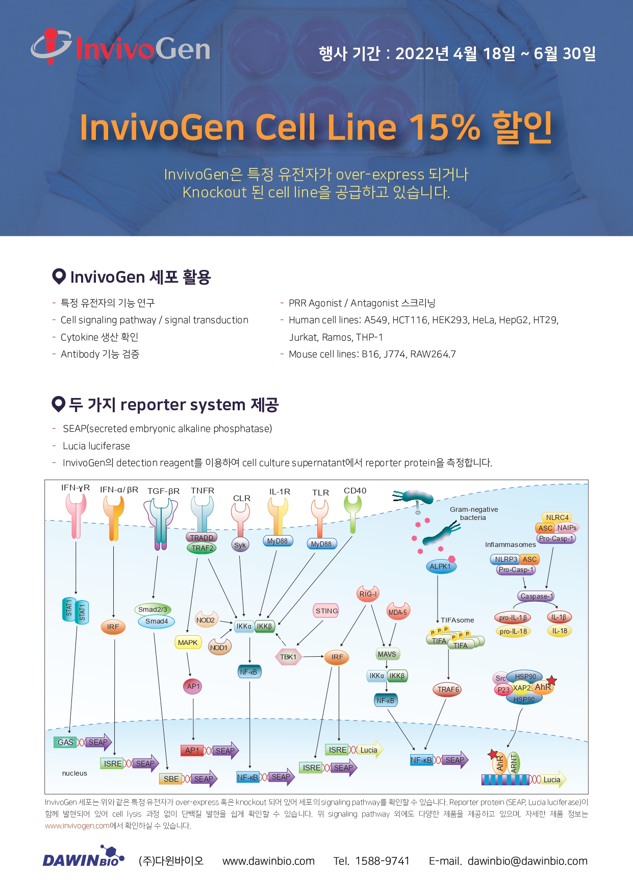 [InvivoGen] Cell line 15% 할인행사 [22.04.18~22.06.30] : 제품정보
