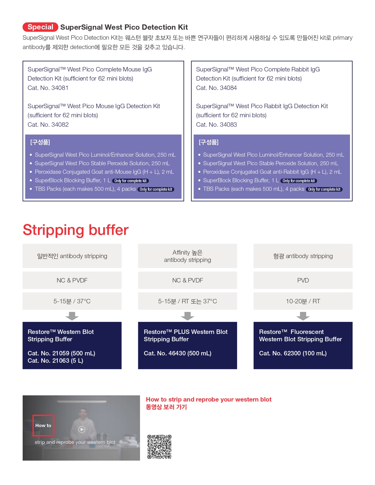 [Thermo] Western Blot 릴레이 프로모션 (23.01.25~23.03.24) : 행사정보