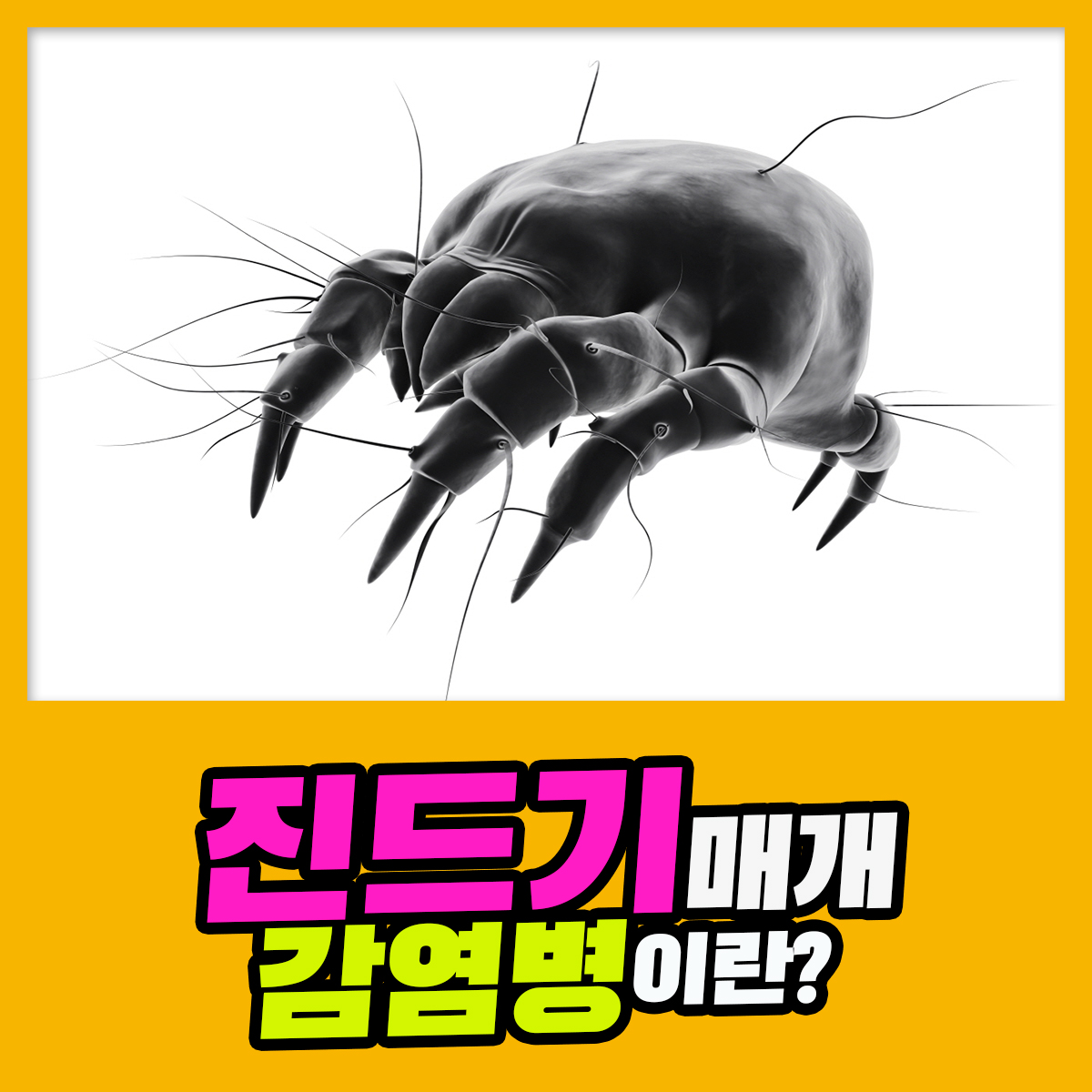 진드기 매개 감염병이란 무엇일까요 건강검진정보