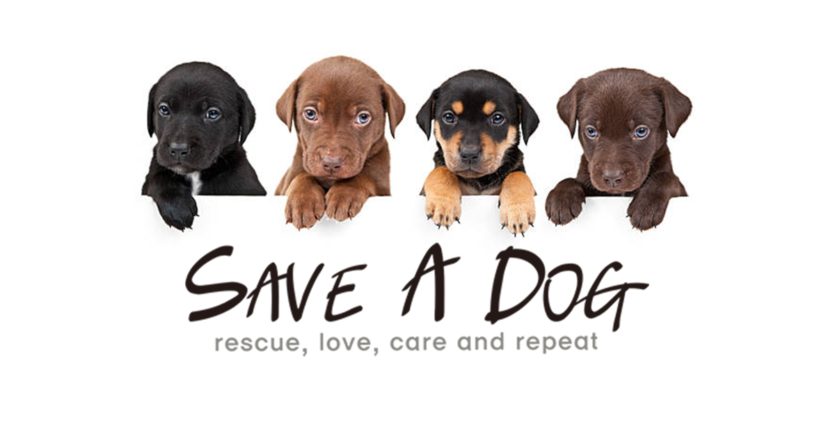 세이브어독 SAVE A DOG