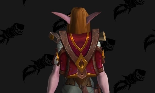 Build 52206 어깨 망토 및 다양한 탐험가 형상 세트. : 최신 WoW 정보 게시판