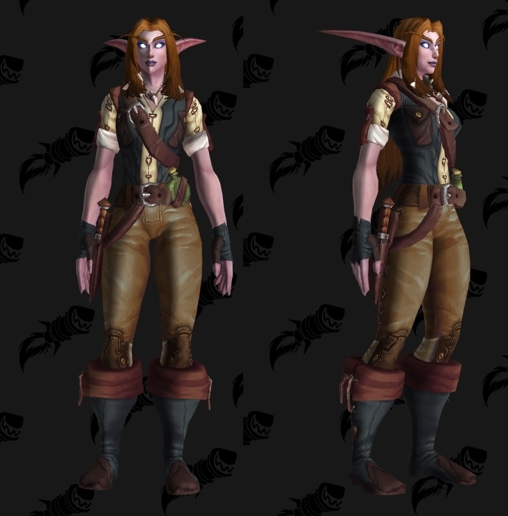 Build 52206 어깨 망토 및 다양한 탐험가 형상 세트. : 최신 WoW 정보 게시판