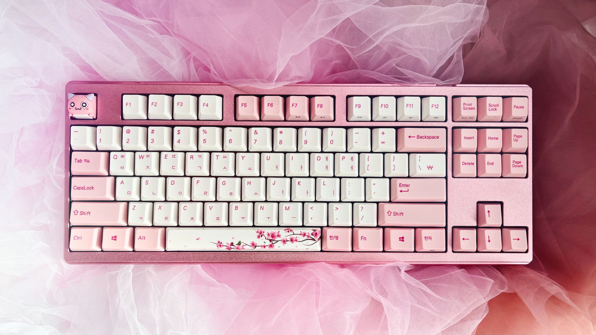TX TKL CLASSIC PINK (아노) 심플리뷰 : TX Keyboard
