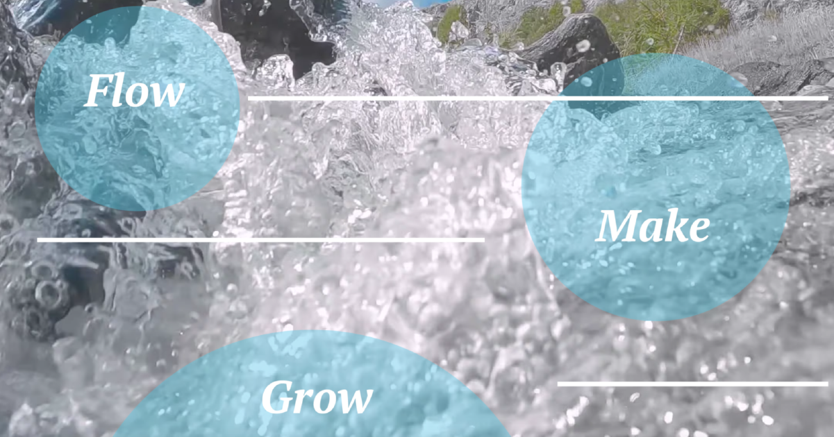 OpenHands International