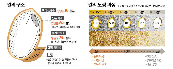 쌀에 대해서 알아보기 - 국산 쌀품종 / 현미 백미/ 쌀고르기 : 농식품정보
