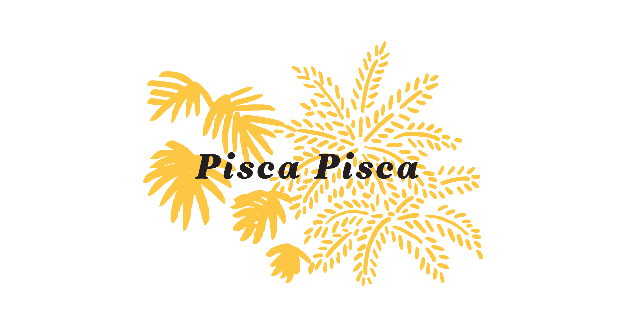 pisca pisca: 피스카피스카