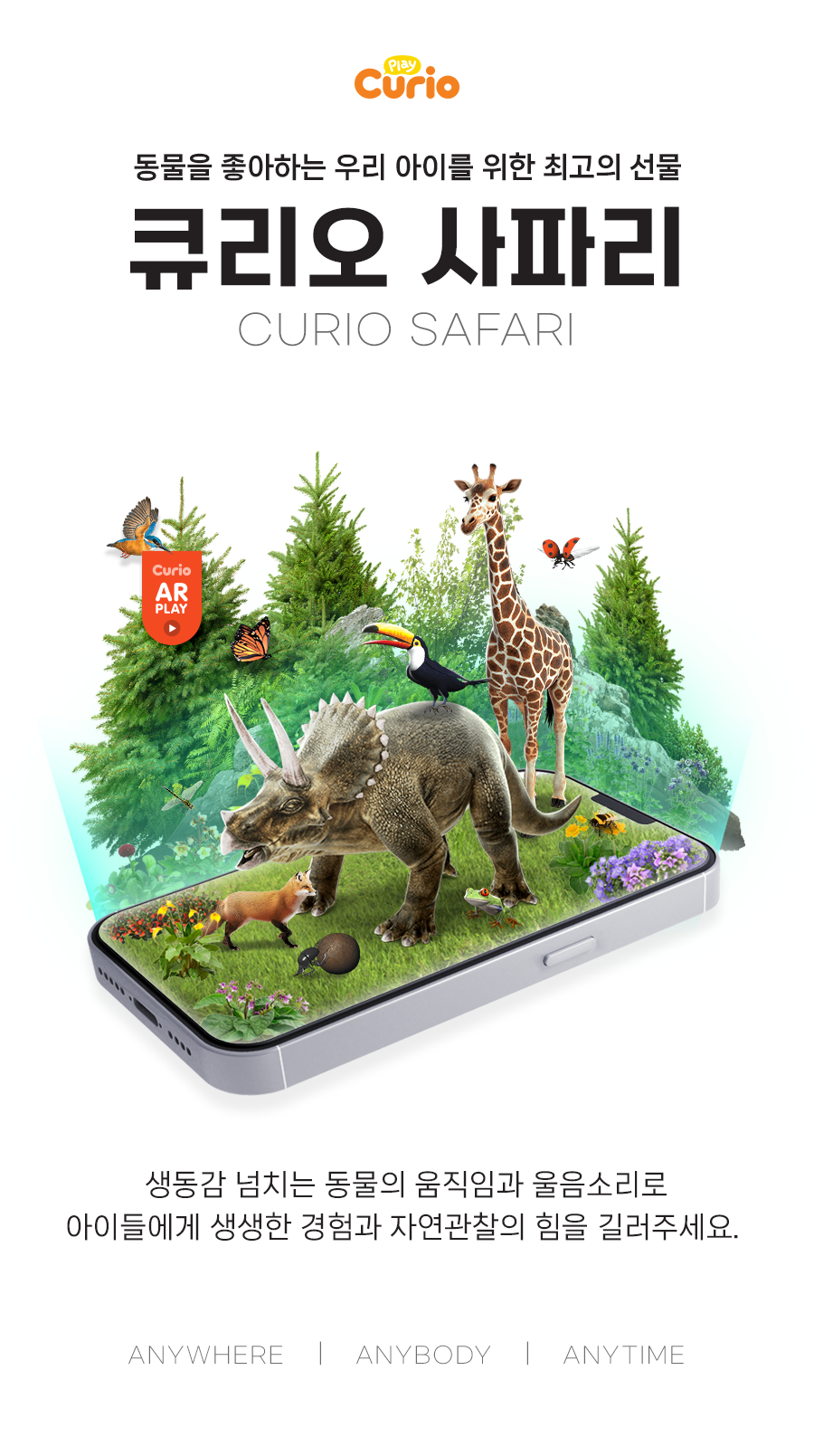 플레이큐리오 사파리 AR 동물카드 6종 : 큐리오스토어