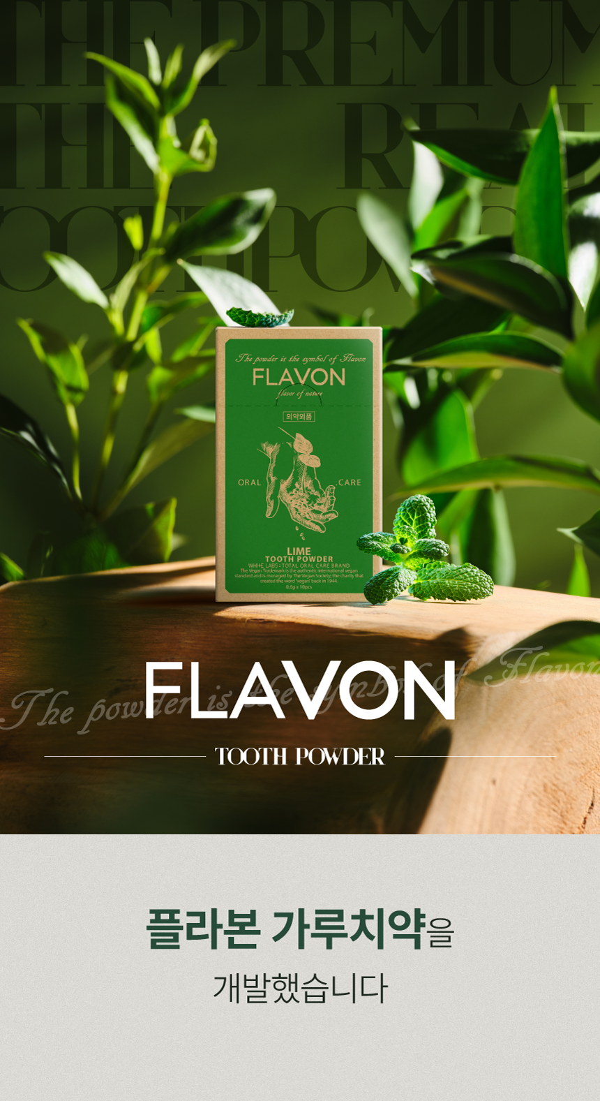 FLAVON 플라본 가루치약 : 김우리샵