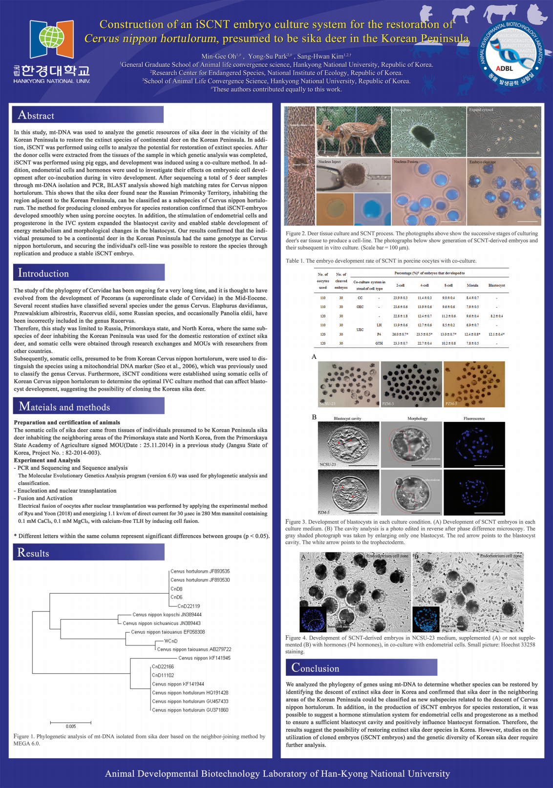 [P 22] Construction of an iSCNT embryo culture system for the ...