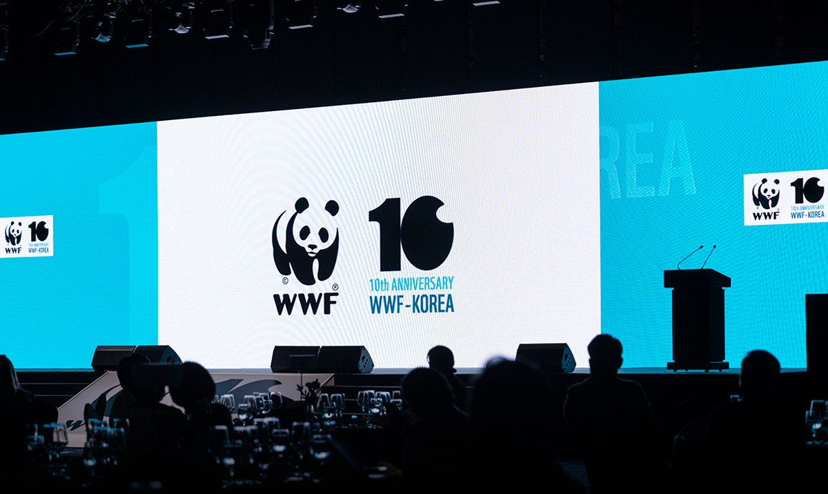 세계 최대 비영리 국제 자연보전기관, WWF Korea 브랜딩 프로젝트