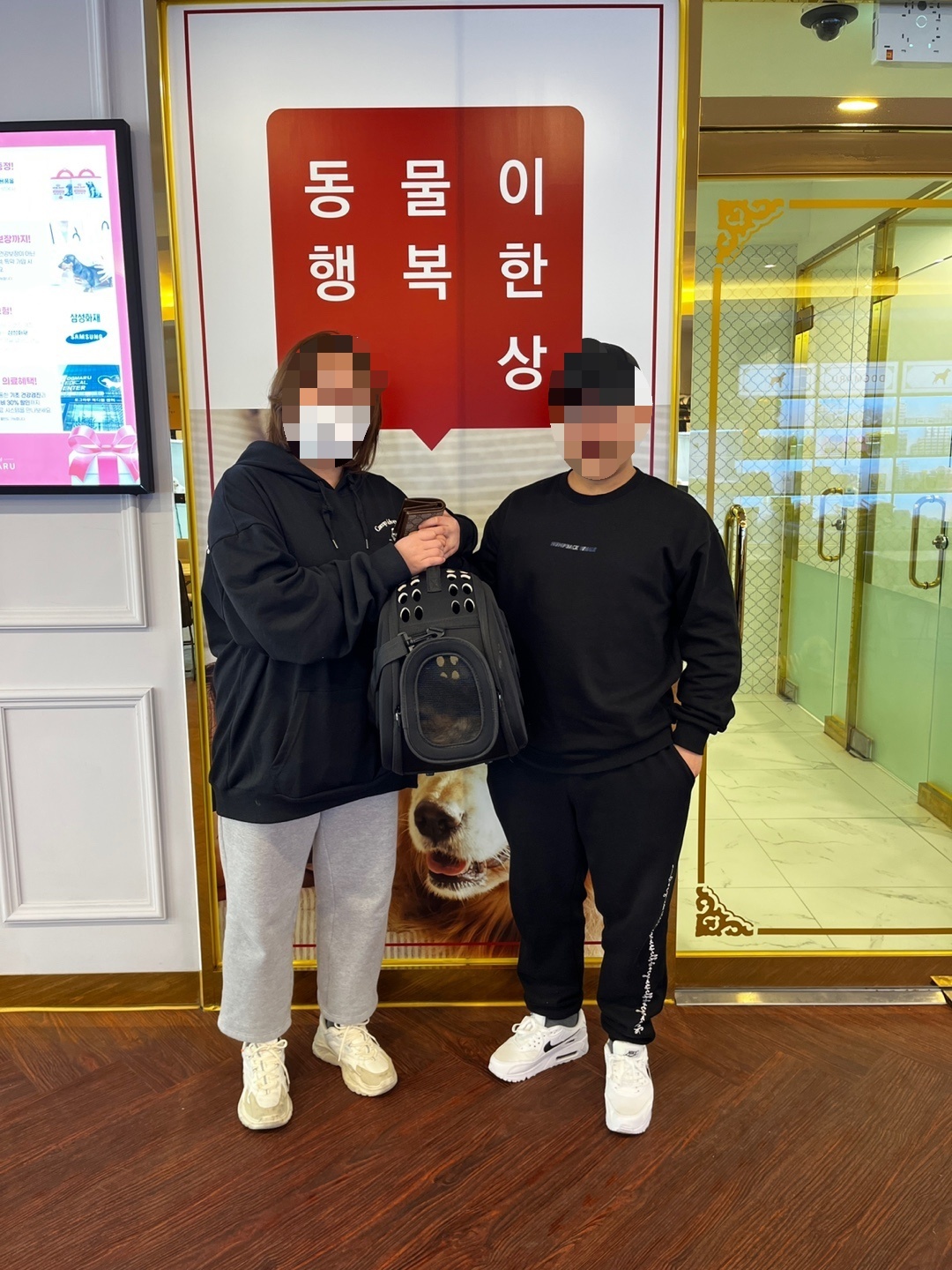 빅토리아 보호소 까미 입양완료 골든리트리버분양 래브라도리트리버 골든리트리버무료분양 브리티쉬숏헤어 프렌치불독 리트리버 웰시코기무료분양 노르웨이숲고양이 빅토리아펫보호소 입양완료