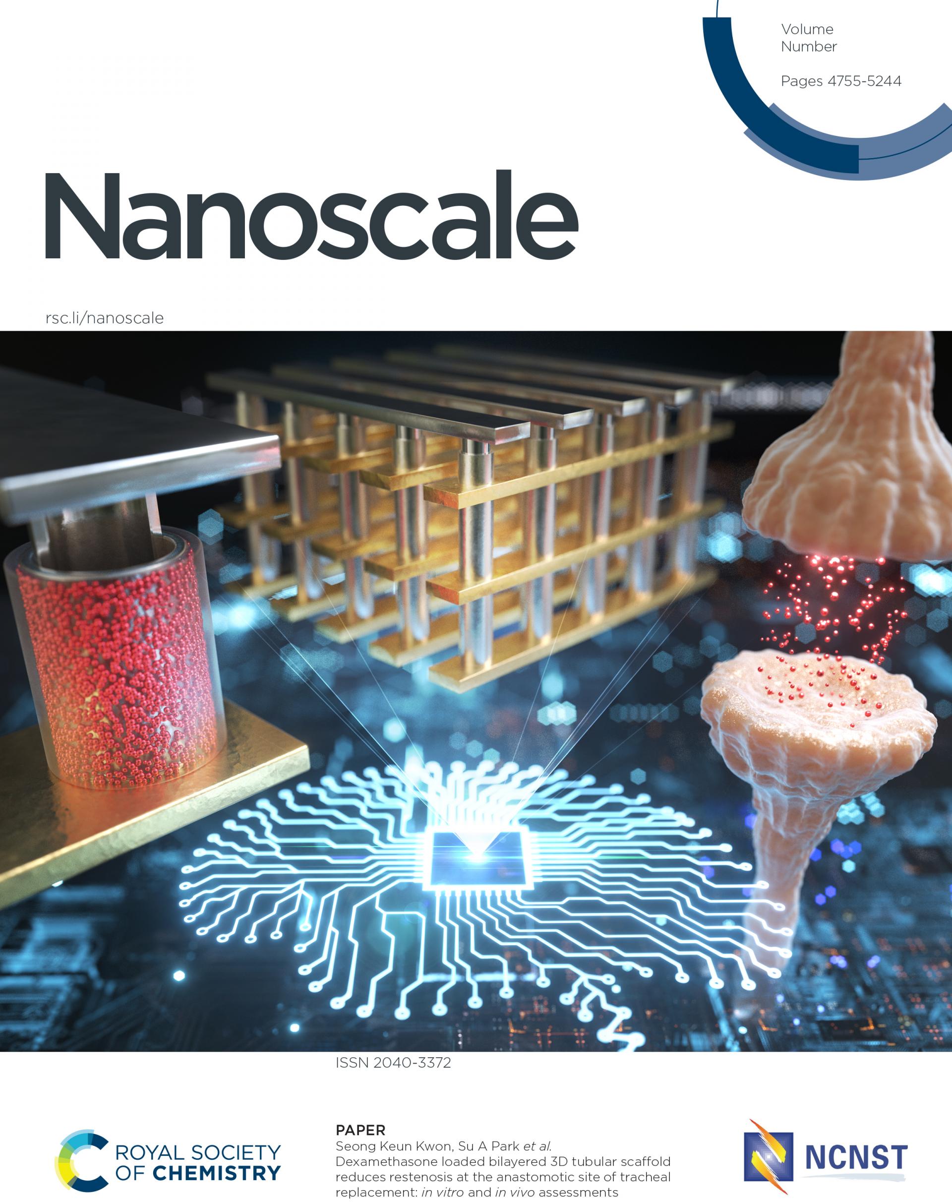 Synaptic plasticity and non-volatile memory characteristics in TiN ...