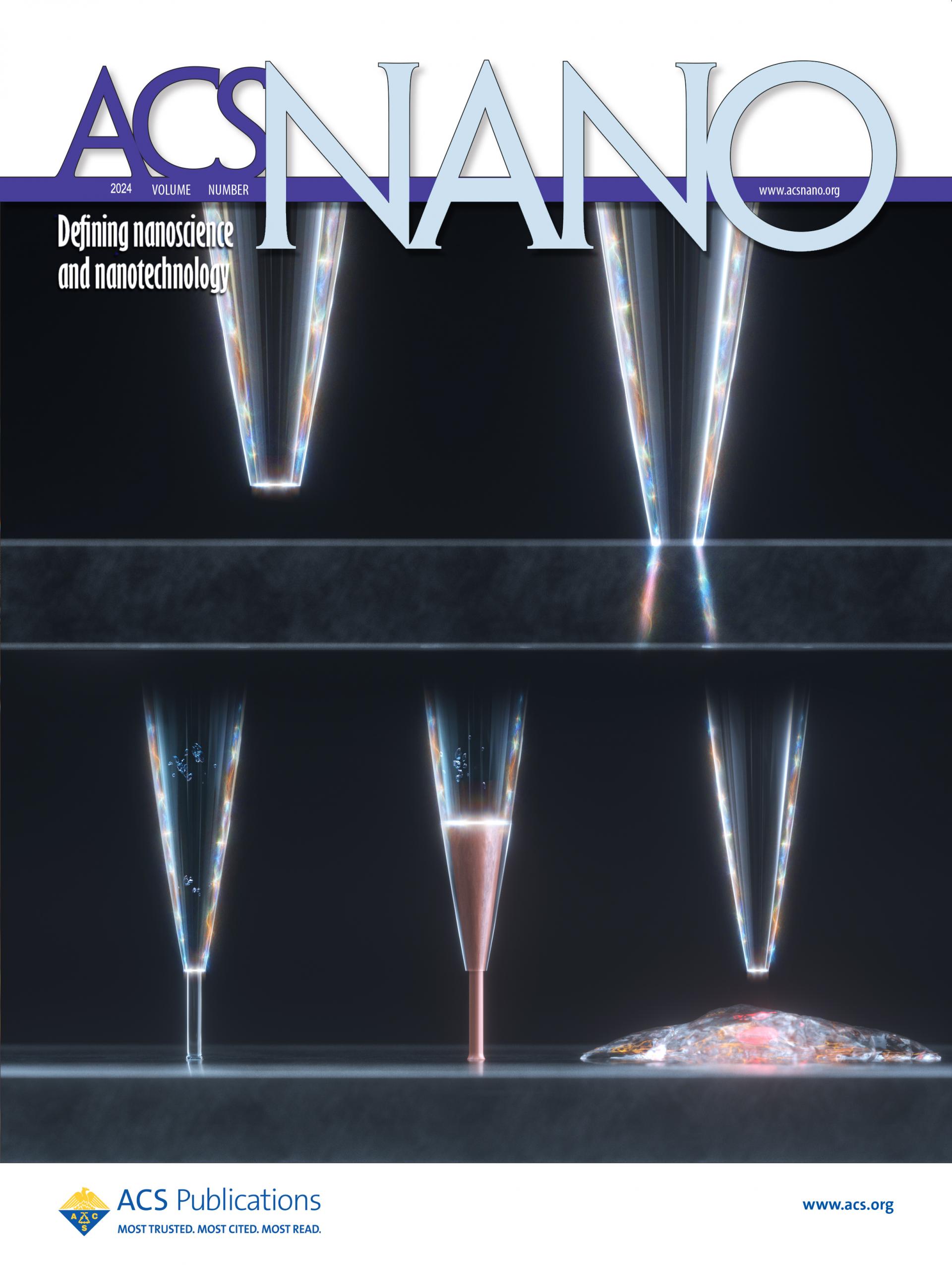 Visualization of Microcapillary Tips Using Waveguided Light : Scapiens ...