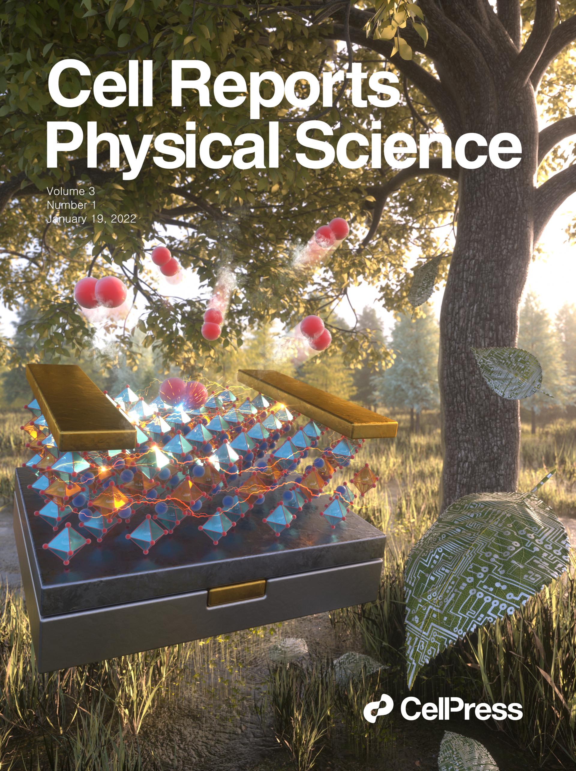 Modulation of vacancy-ordered double perovskite Cs2SnI6 for air-stable ...