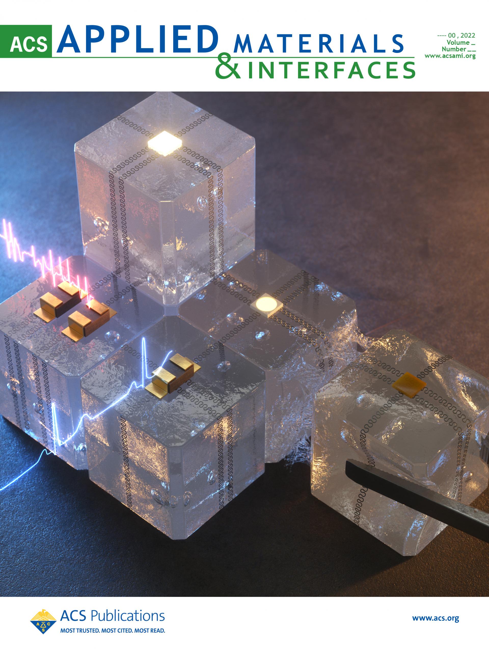 Dual-Functional Self-Attachable and Stretchable Interface for Universal ...