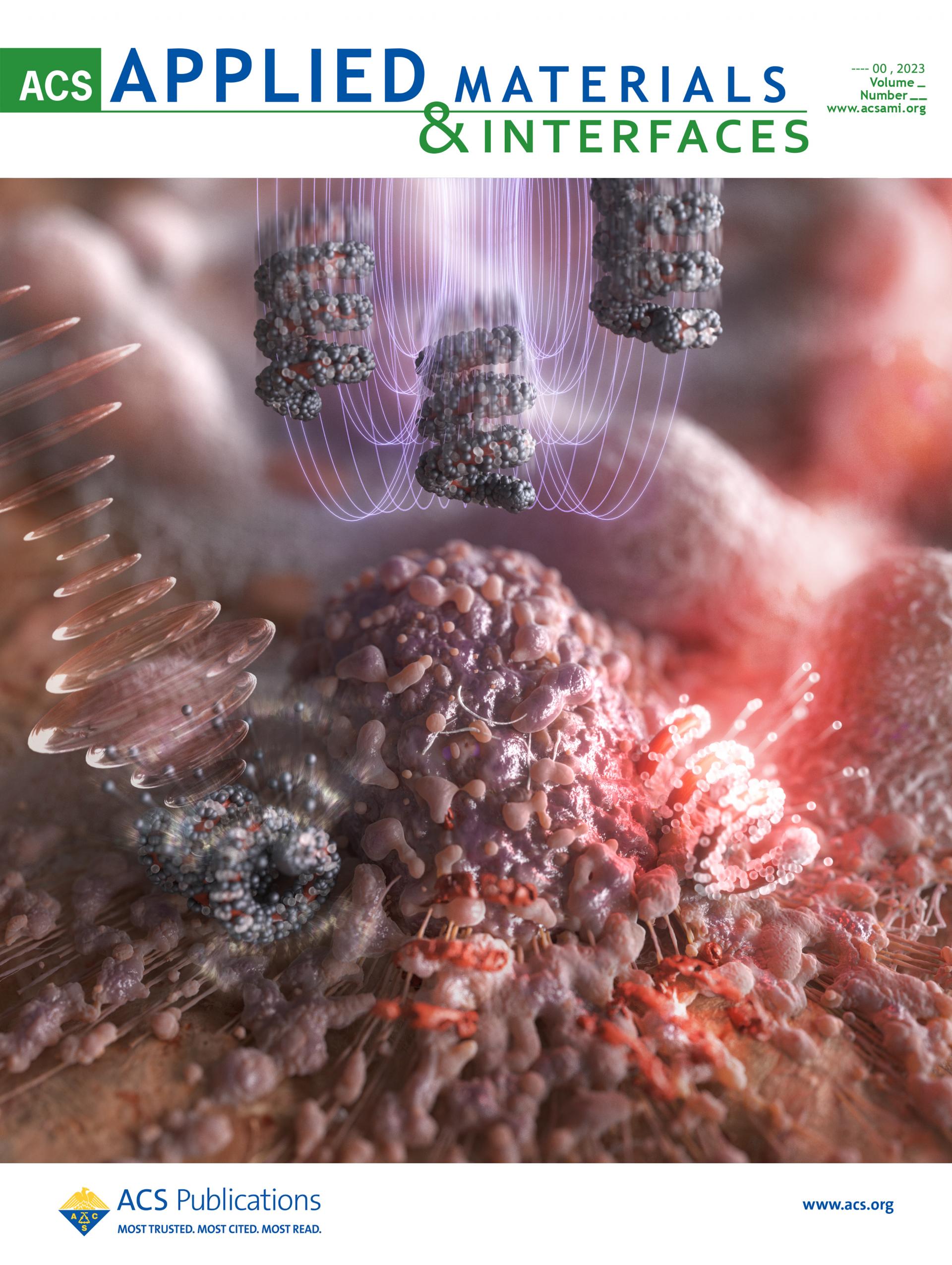 Magnetically Actuated Helical Microrobot with Magnetic Nanoparticle ...