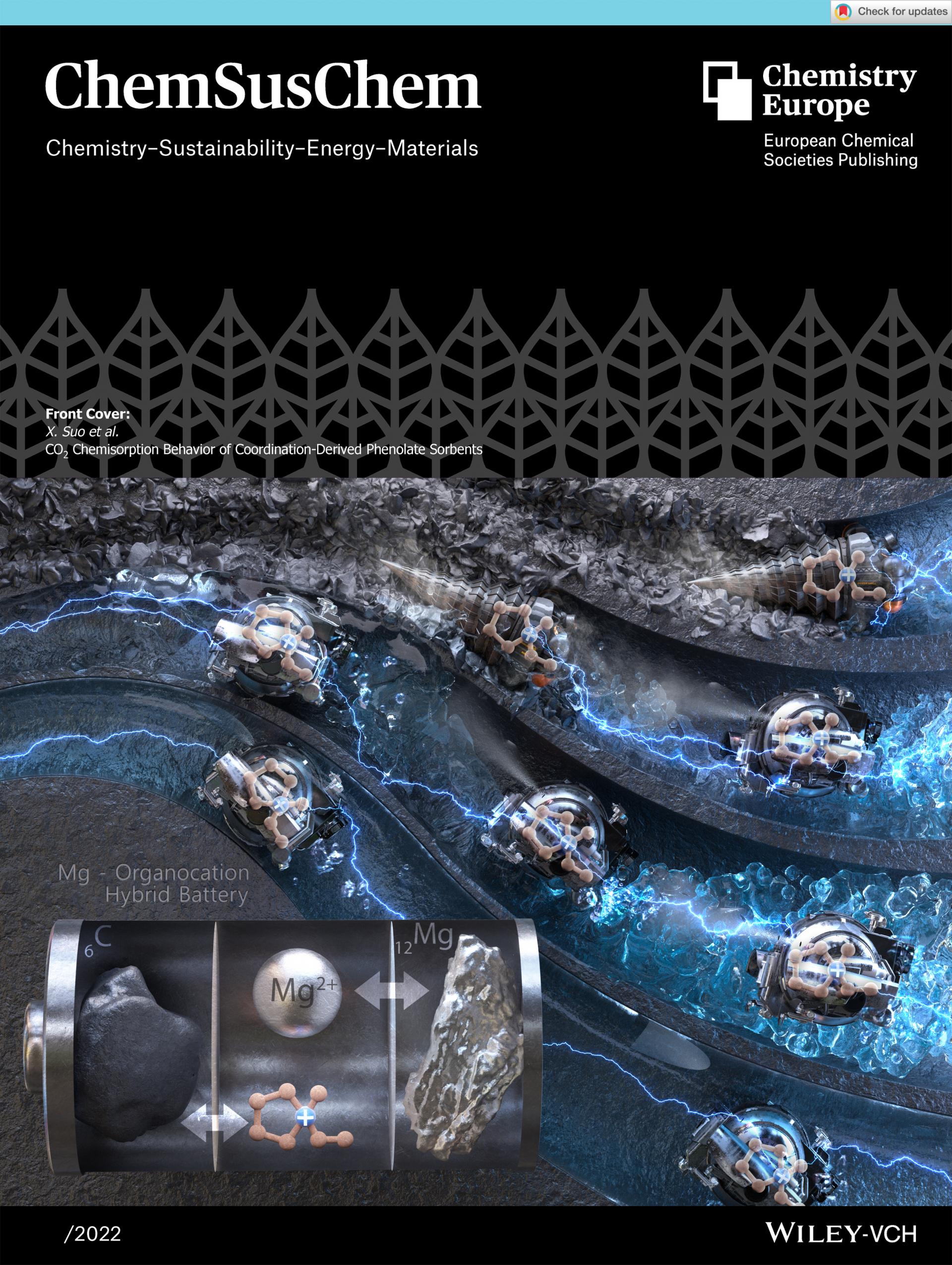 Front Cover: Electrochemically Activated Expanded Graphite with Tailor ...