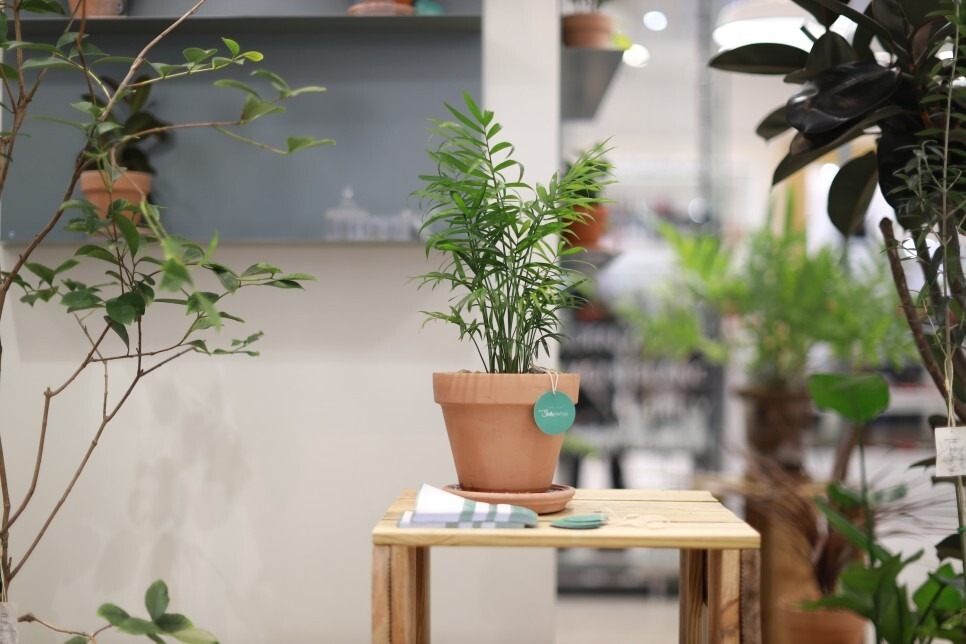 #10 요즘 시니어와 요즘 브랜드 : 비마이비(BemyB), 브랜드 경험 플랫폼