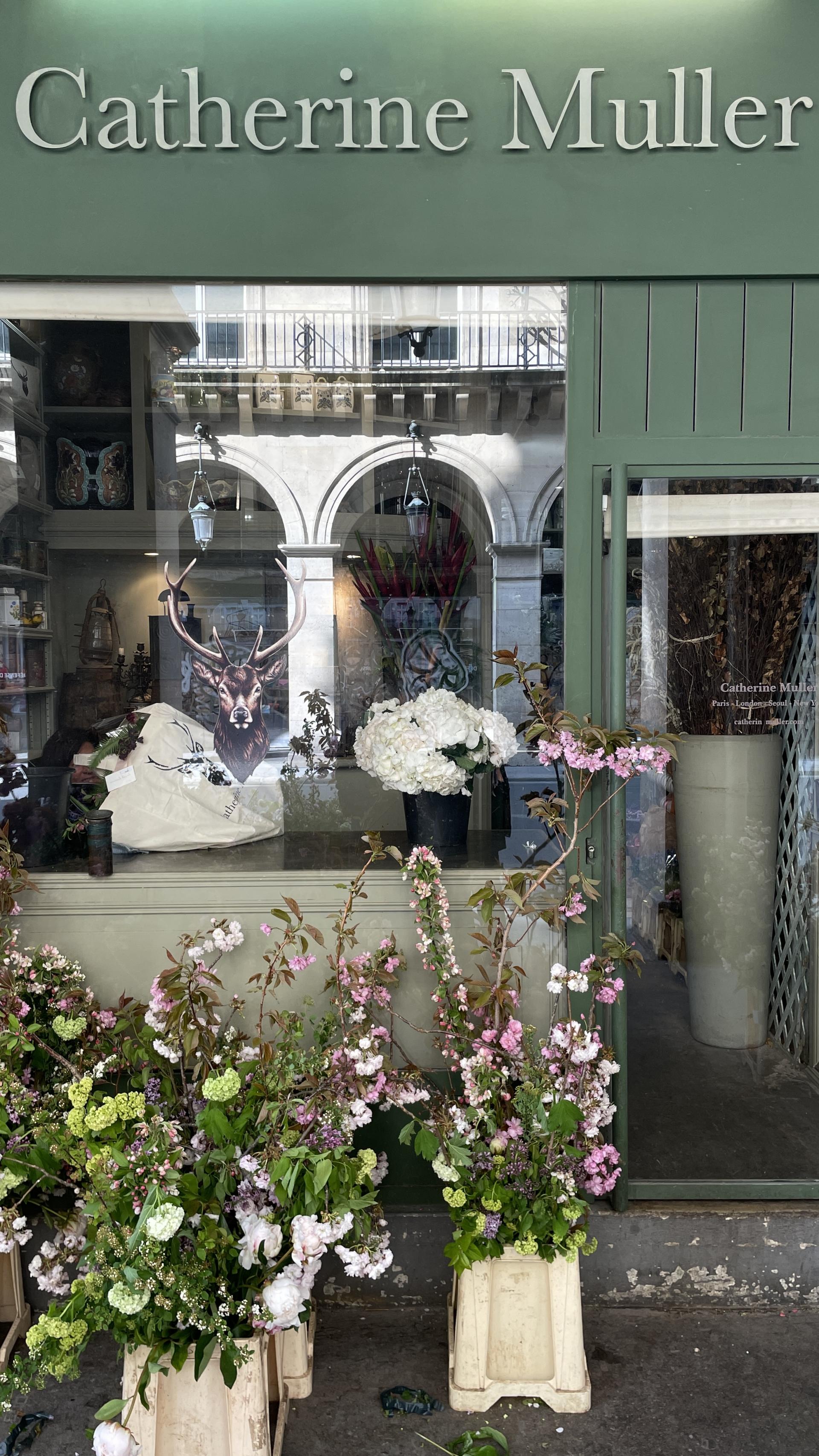 BOTANIQUE PARIS WORK SHOP : botanique