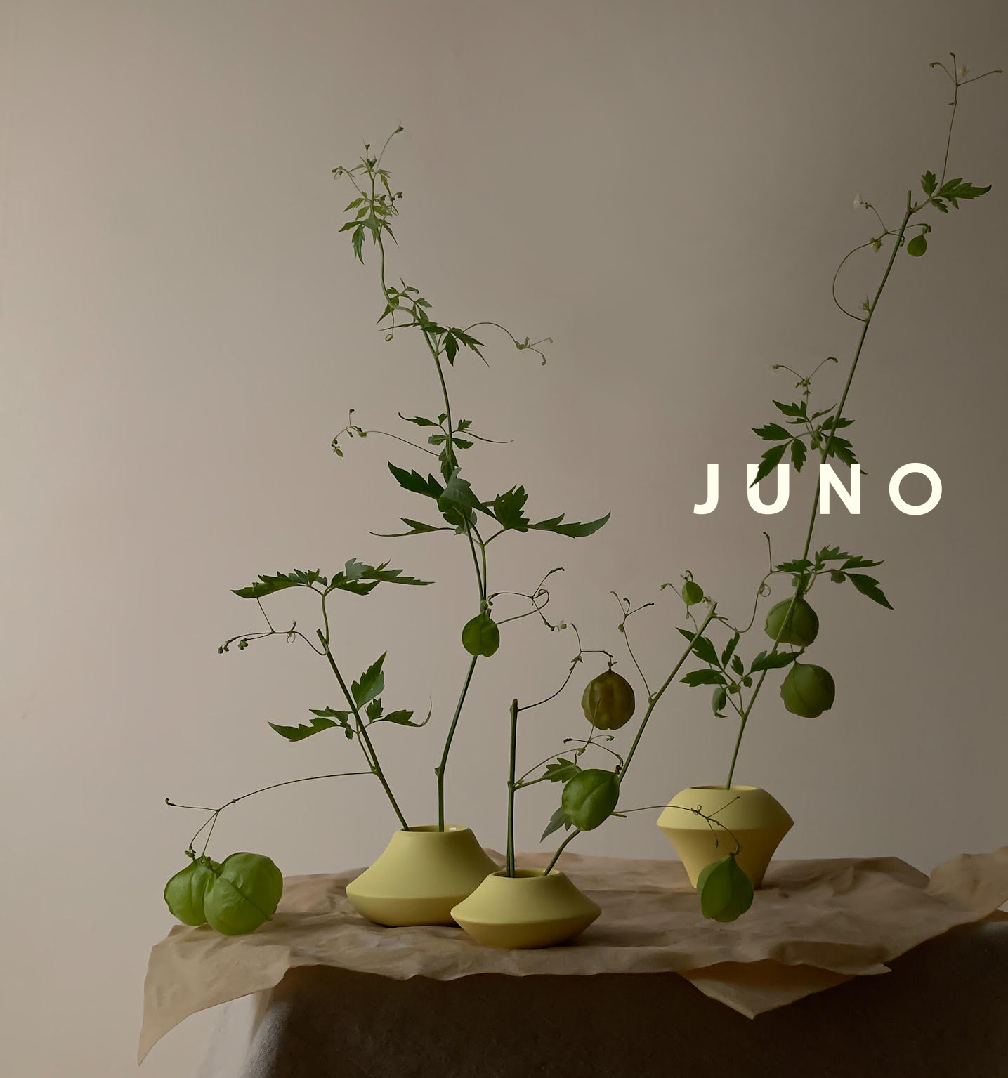 JUNO CERAMICS