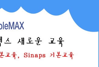 2012년 에이블맥스의 새로운 Sinda/Fluint 기본교육과 Sinaps 기본교육 : ableMAX