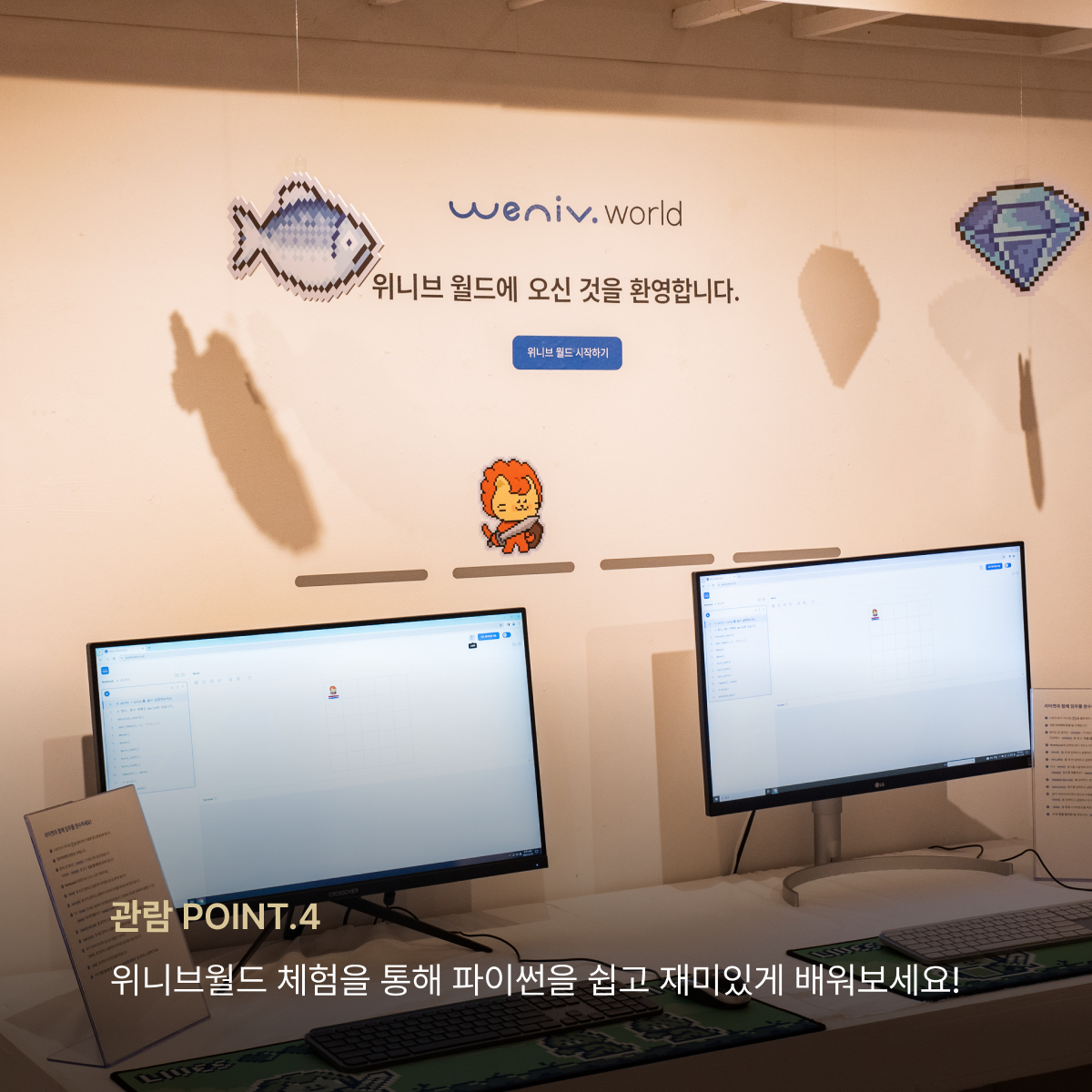 [위니브] Welcome to Weniv world (~12.30) : 잇지제주ㅣ행사·축제