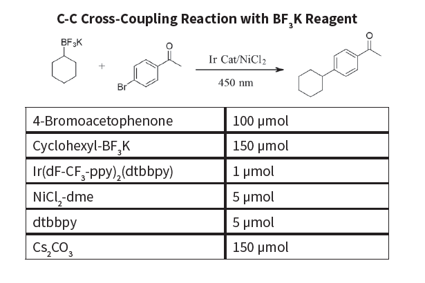 Photochemistry Starter Bundle : CHEMCOKOREA 켐코코리아