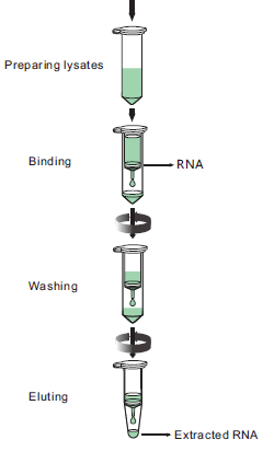 RNA Extraction Columns : CHEMCOKOREA 켐코코리아