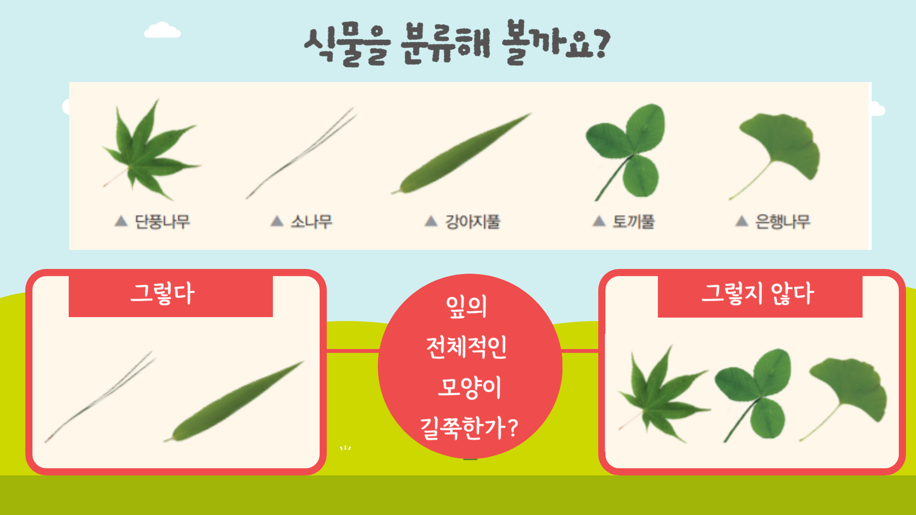 [과학원격수업PPT] 4학년 2학기 1단원 2차시 잎의 생김새에 따라 식물을 어떻게 분류할 수있을까요? : 아꿈선