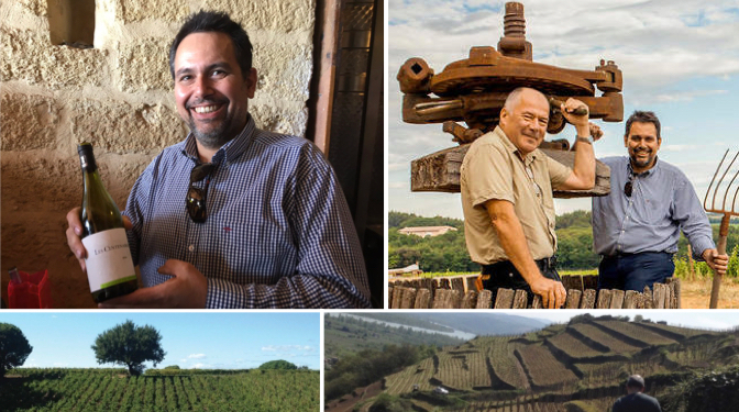 Clos des Centenaires - 끌로 데 상뜨내르 : 서울와인앤스피릿