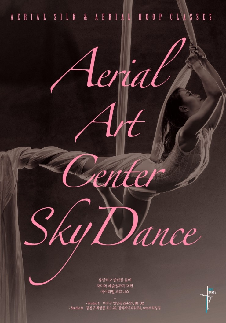 Aerial Art Center Sky Dance : POSTER