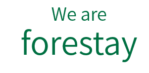 forestay