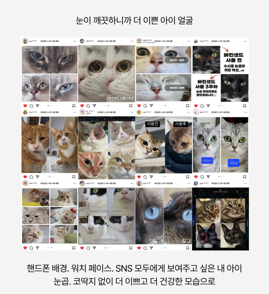 버킨샌드 3KG x 4개 냥프레쉬 SSS급 벤토나이트 고양이모래 : 냥프레쉬