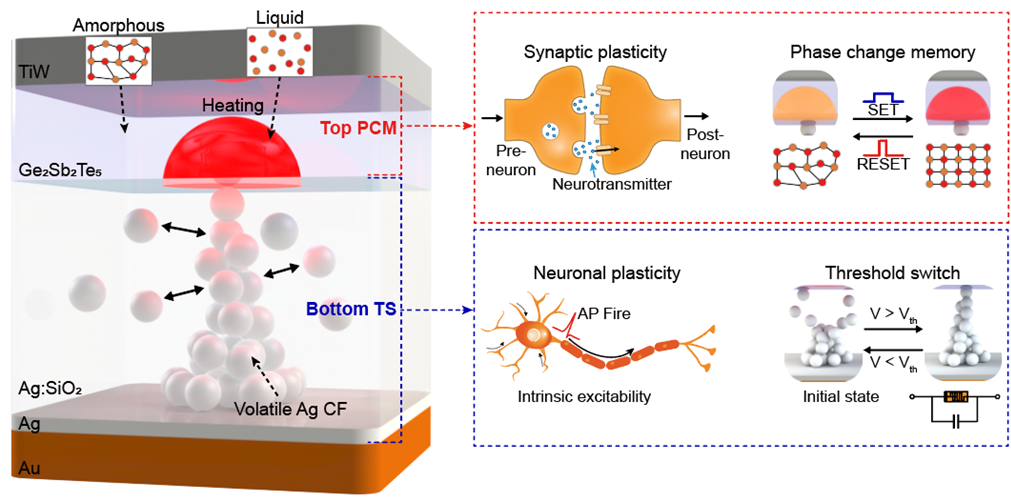 Neuromorphic Memory : KAIST HAND group