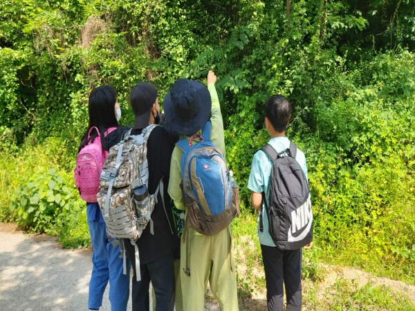 6월 세번째 도시숲 어린이 생태학교 대전충남생명의숲