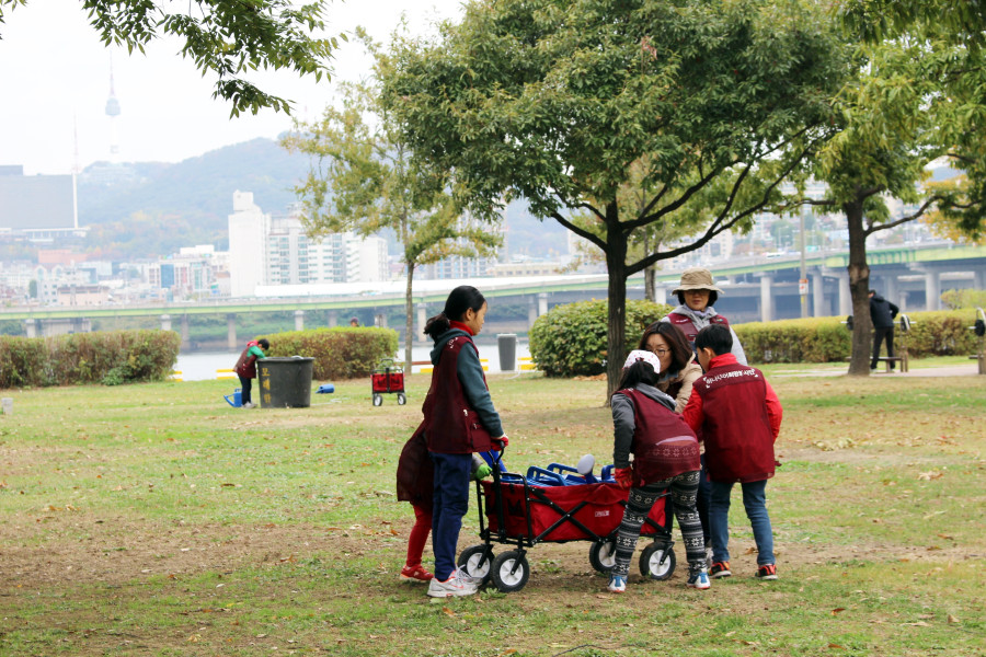 [숲가꾸기] 하나투어와 함께 한강에 팽나무와 나무수국 심기 : 블로그