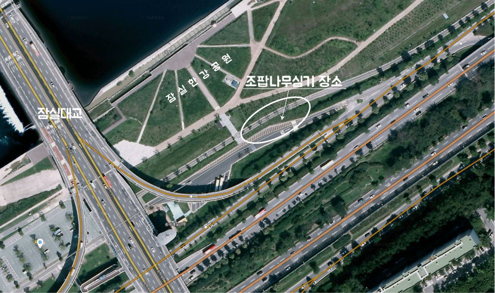 [숲가꾸기] 포스코와 함께 잠실한강공원에 조팝나무 심기 : 블로그