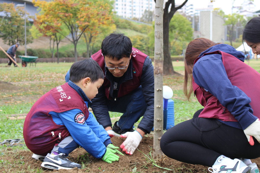 [숲가꾸기] 하나투어와 함께 한강에 팽나무와 나무수국 심기 : 블로그