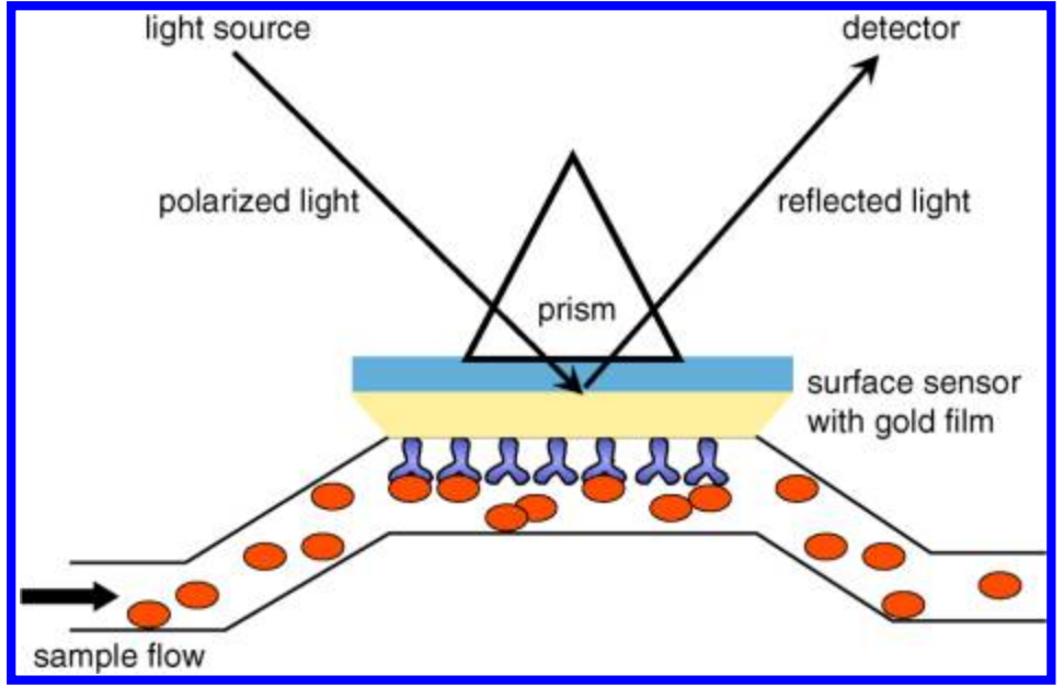 [바이오 기획 ①] 바이오 의약품 물질 반응성 분석 기술, SPR (표면플라스몬공명)ㅣ밸류체인타임스 : 밸류체인타임스 건강