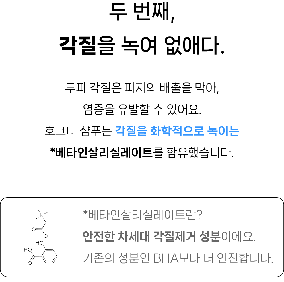 지성 샴푸 중 지성용 약산성 500ml 호크니 두피 샴푸를 윤리적으로 만듭니다