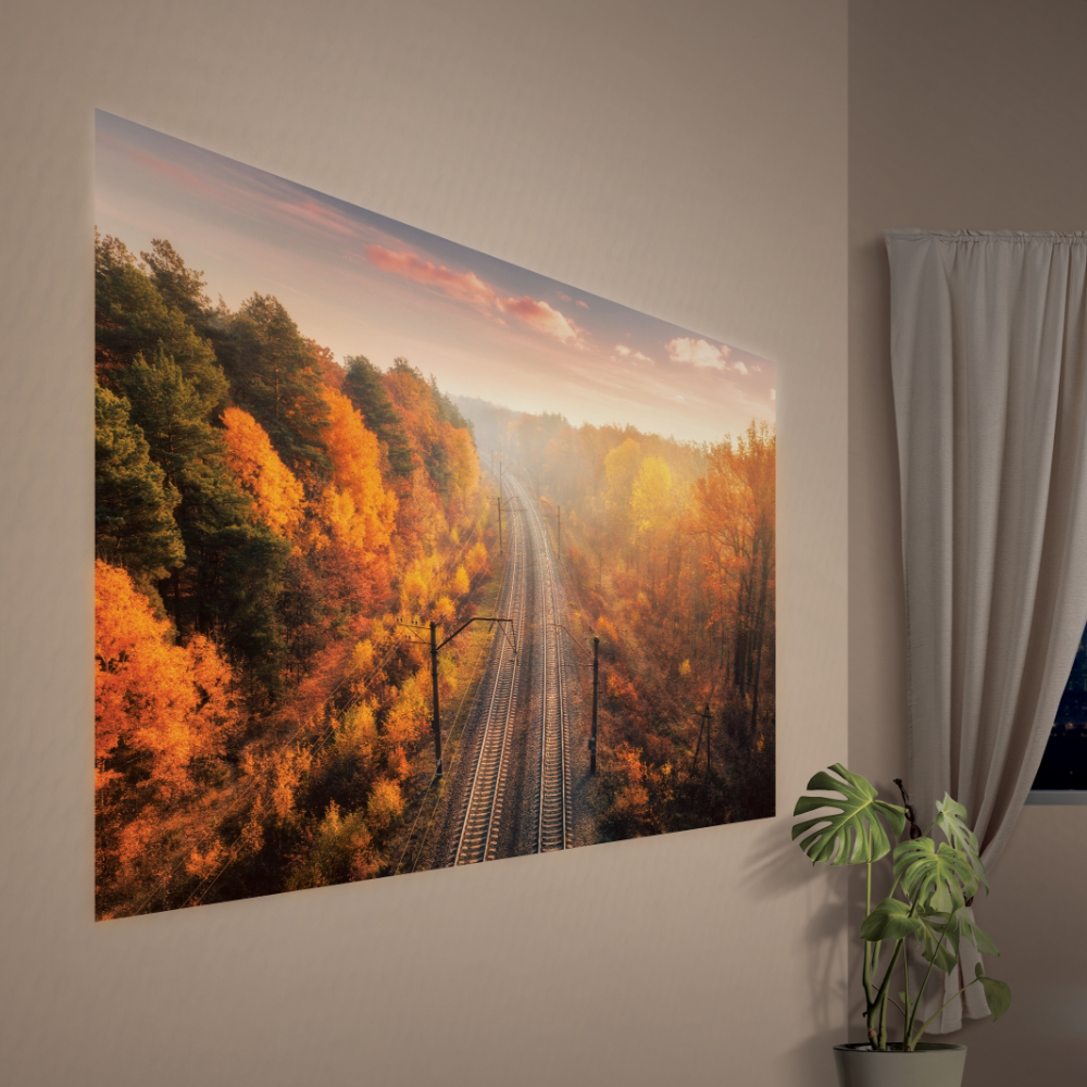 Bloomsbury Lab Adhesive Screen - Easy Home Cinema Setup