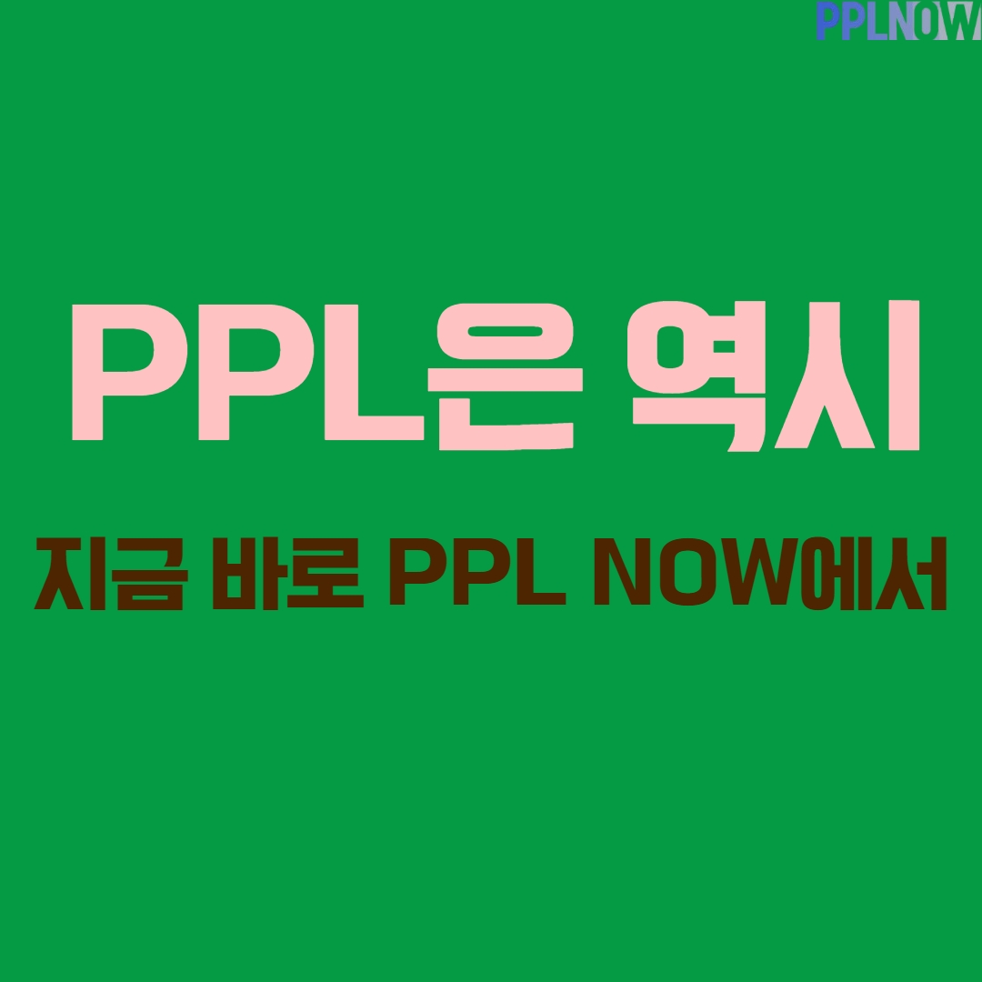 PPL 예시, 모아보기 2편 : ppl광고에 대한 모든 것에 대해 알려드립니다