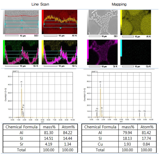 SEM-EDX(EDS) 에닥스(EDAX) : 에스엔피테크
