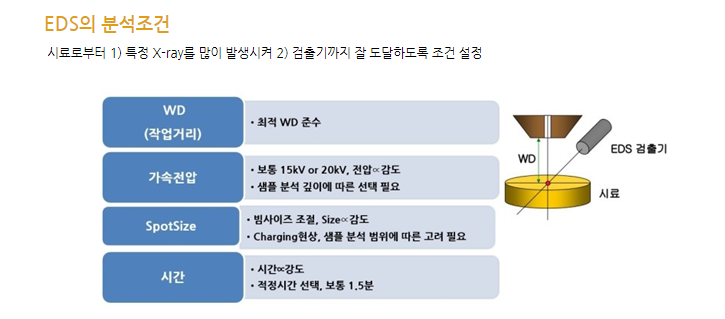 SEM-EDX(EDS) 에닥스(EDAX) : 에스엔피테크